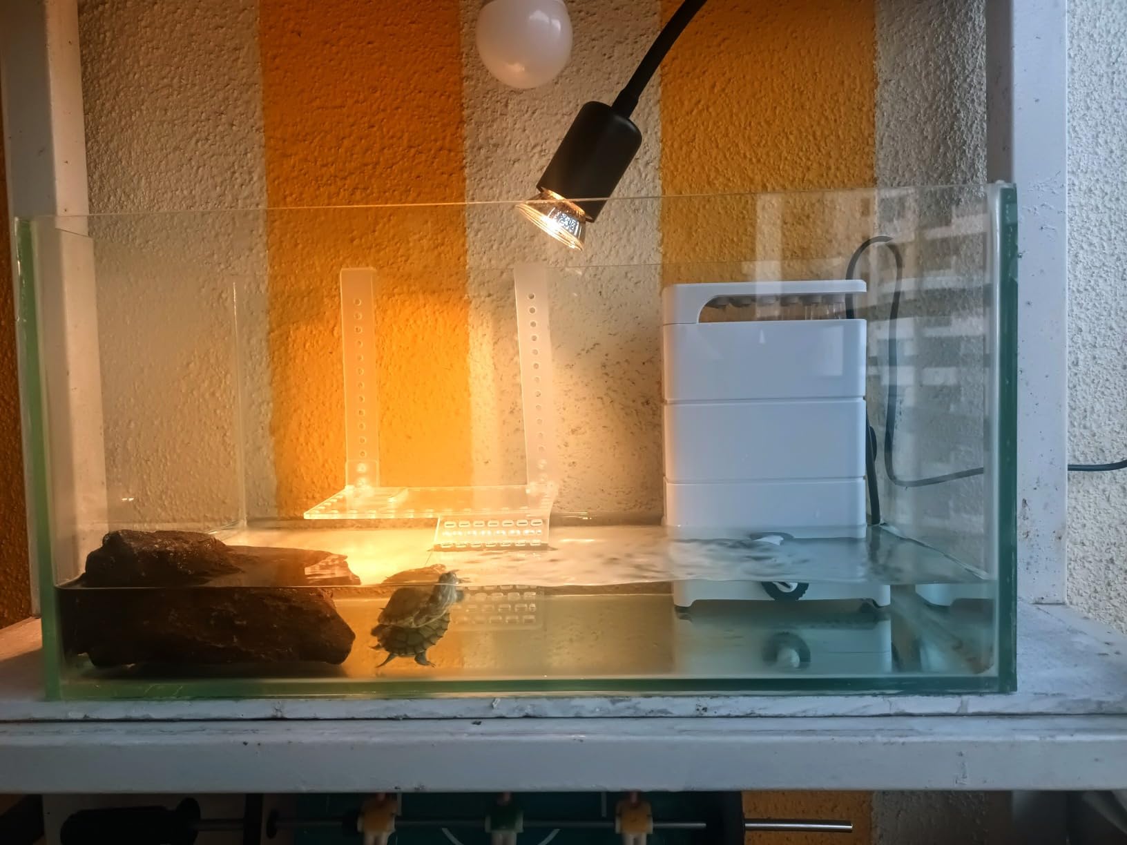 Sunsun Xiaoli Low Water Level Turtle Filter XN-600 : Amazon.in: Pet ...