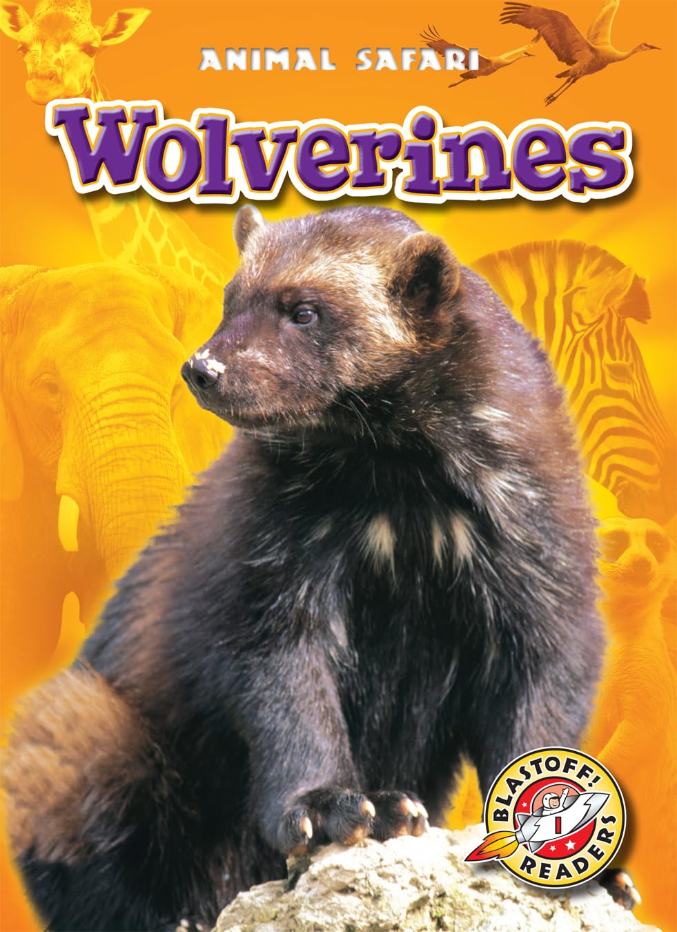 Wolverines (Blastoff! Readers: Animal Safari) (Animal Safari: Blastoff ...