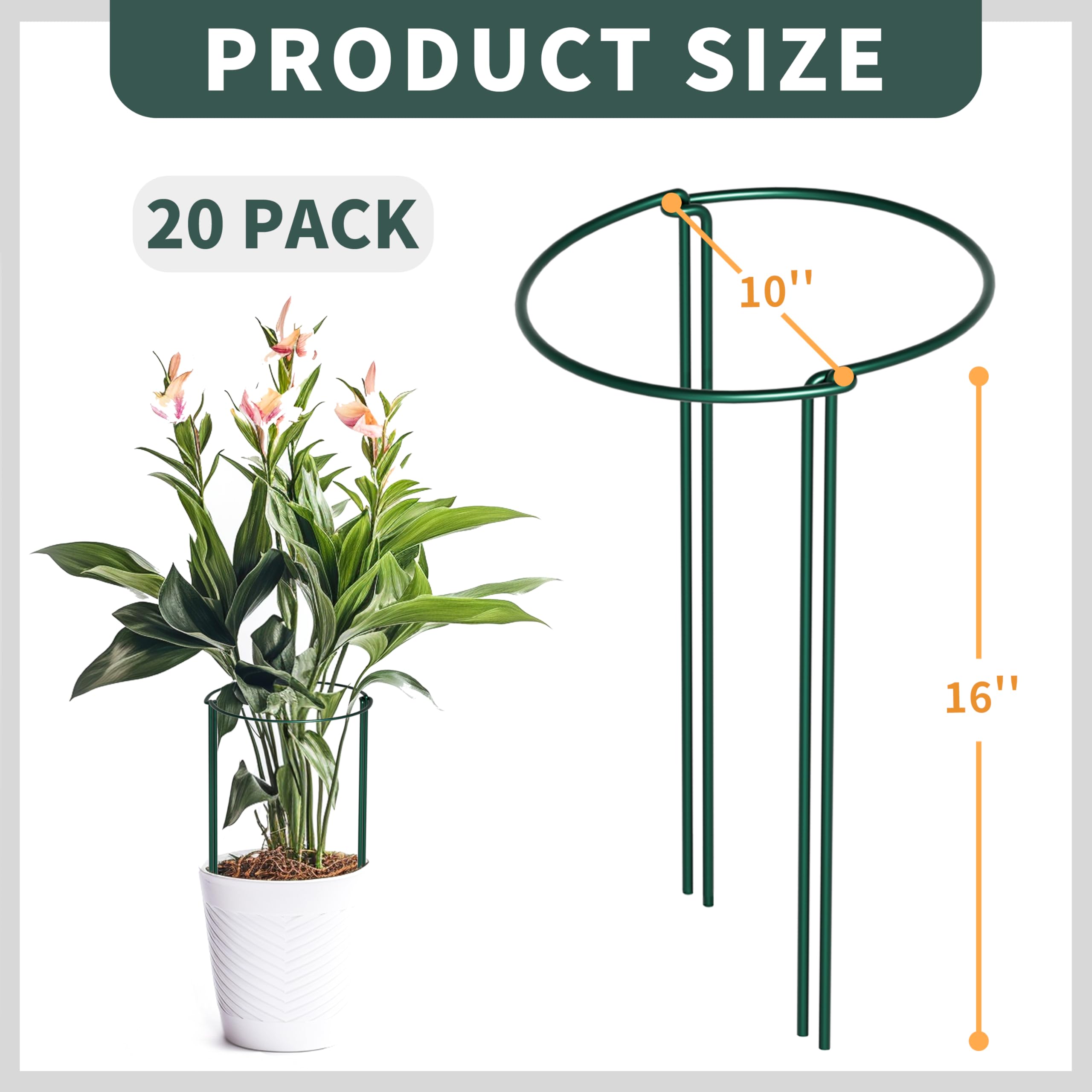 Snapklik.com : 20 Pack Plant Supports Stakes For Large Heavy Plants, 16 ...