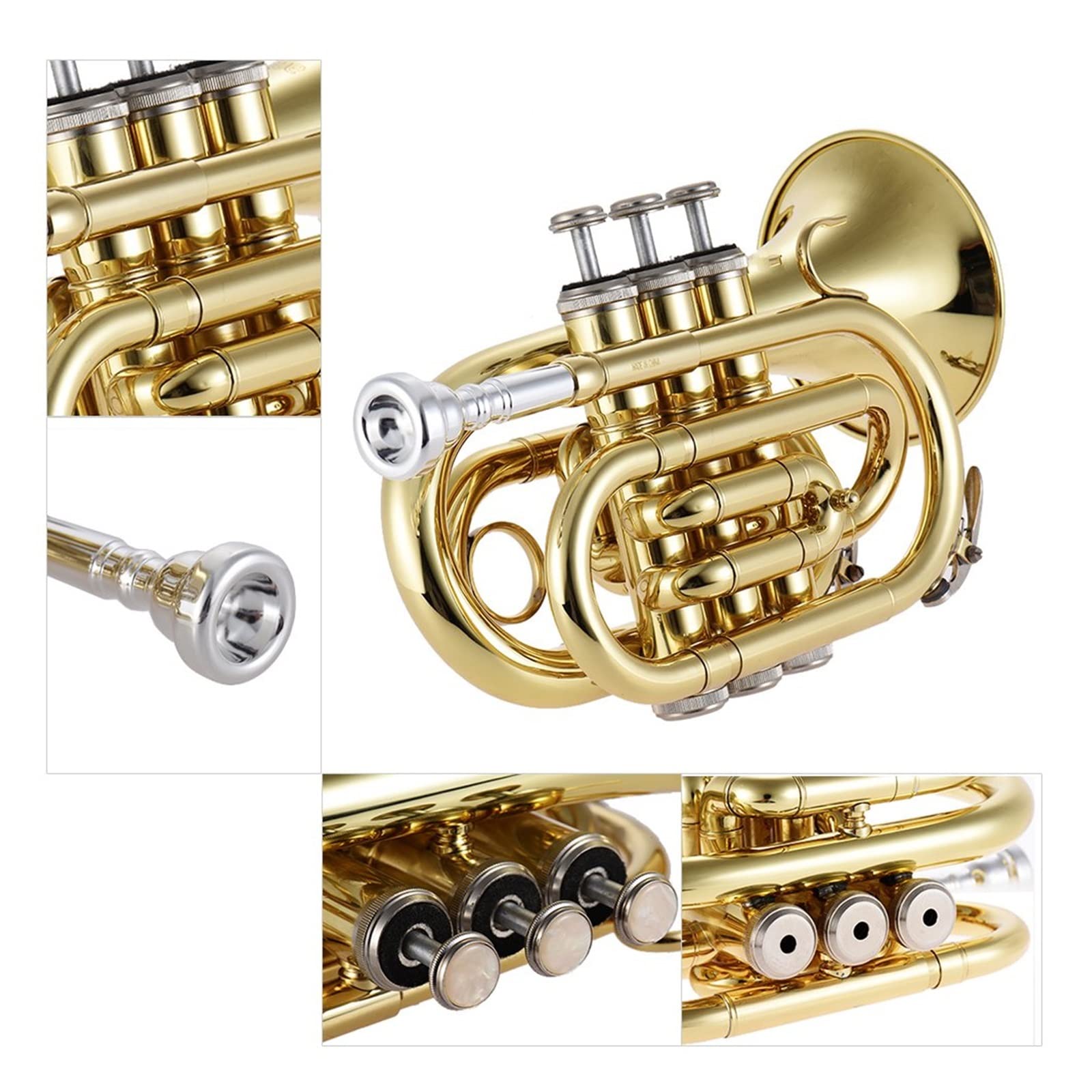 Instruments De Musique De Poche Pochette Instrument Hi Res Stock