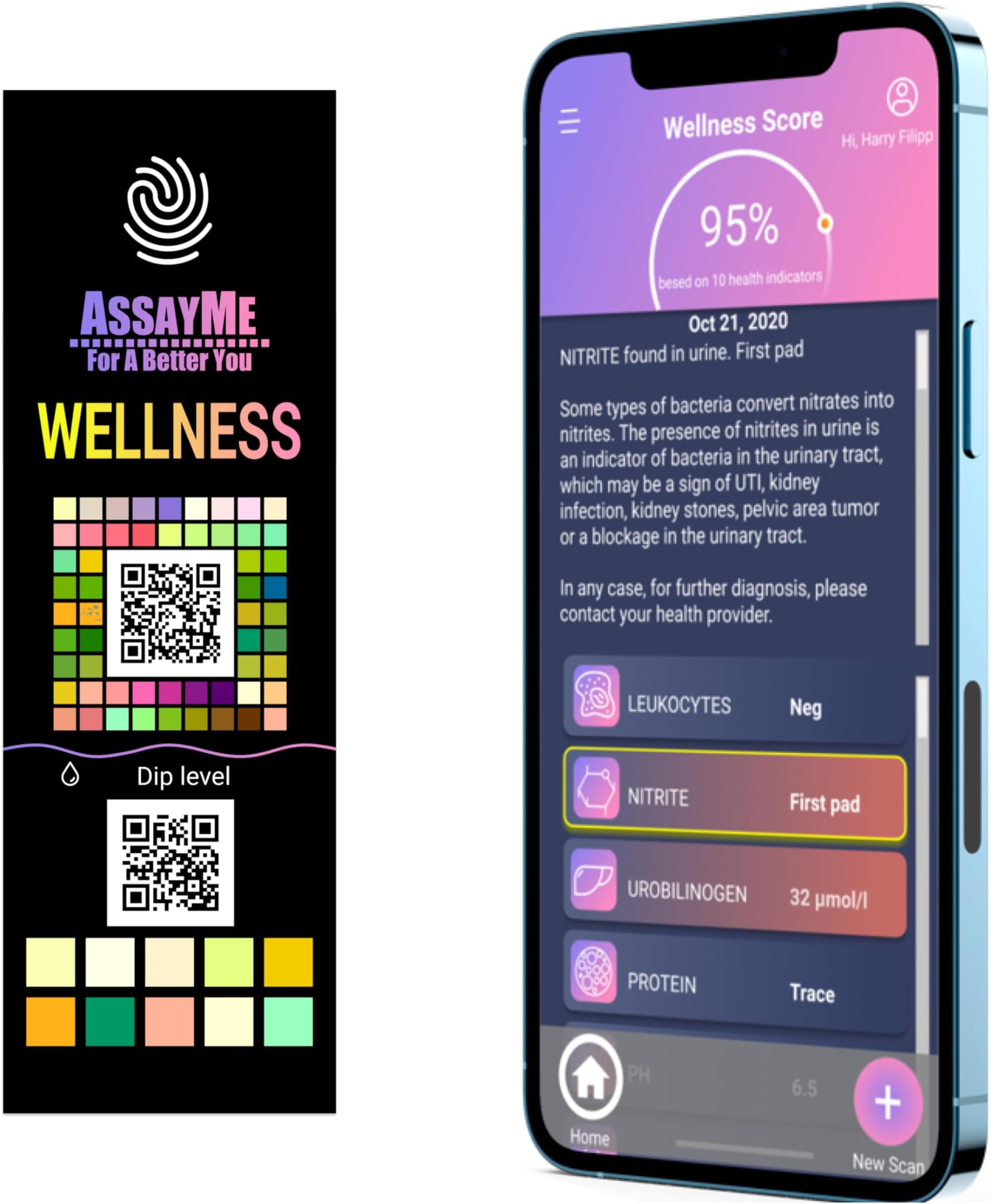 Amazon.com: DIAGNOX HEALTH Protein Urine Test Strips Kit - Individually ...