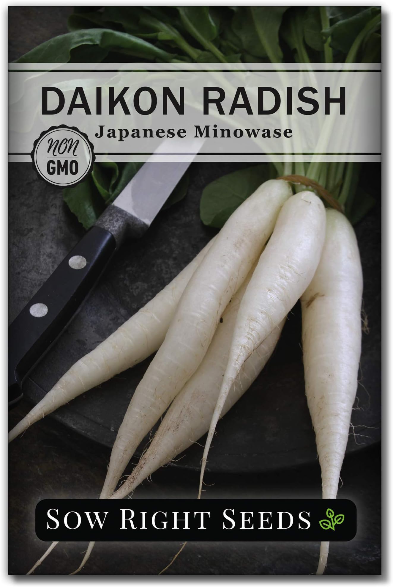 Amazon.com : Japanese Daikon Radish Seeds for Planting - 100 Heirloom ...