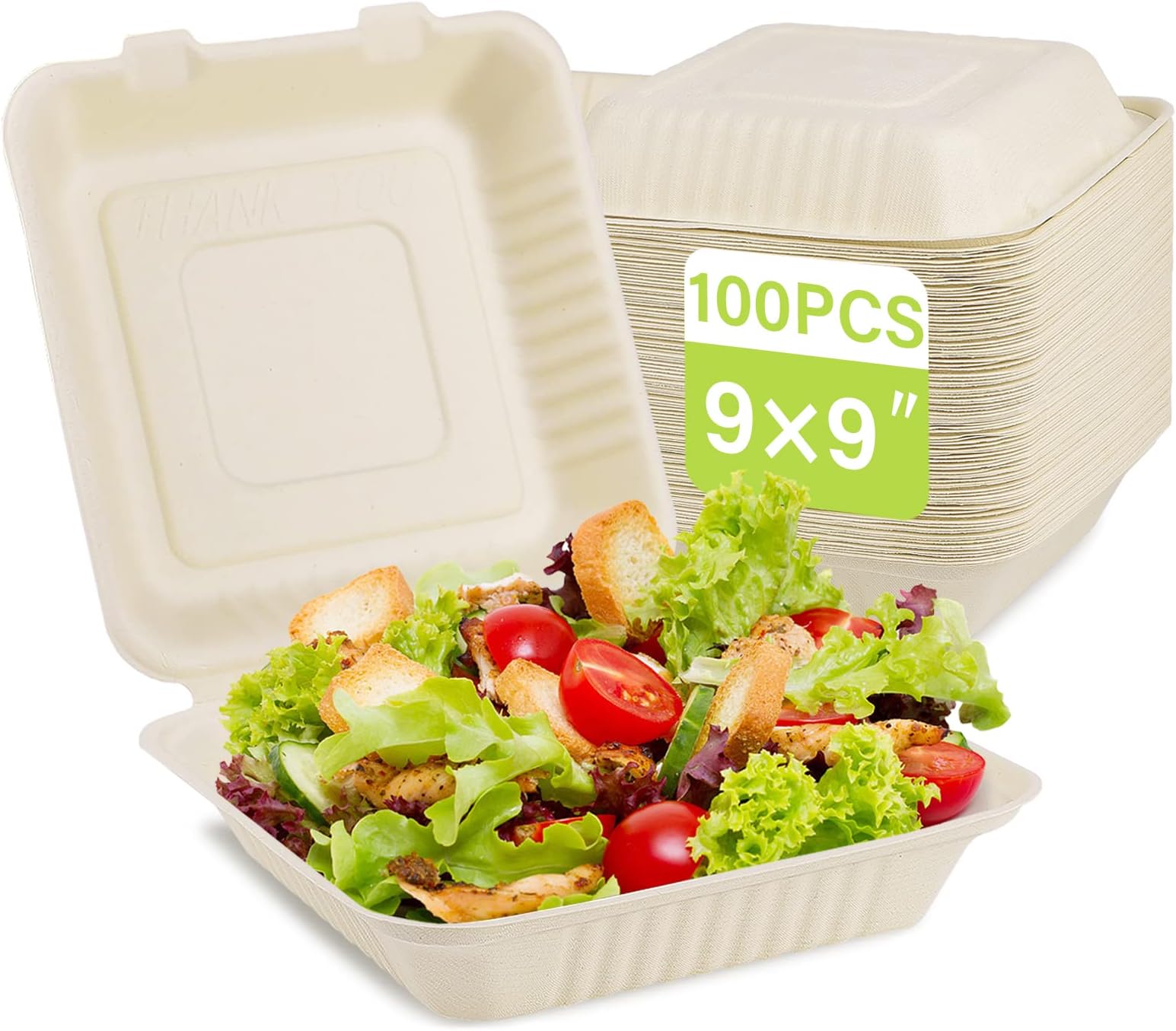 Amazon.com: greensight Compostable Take Out Food Container 8X8, 100 ...