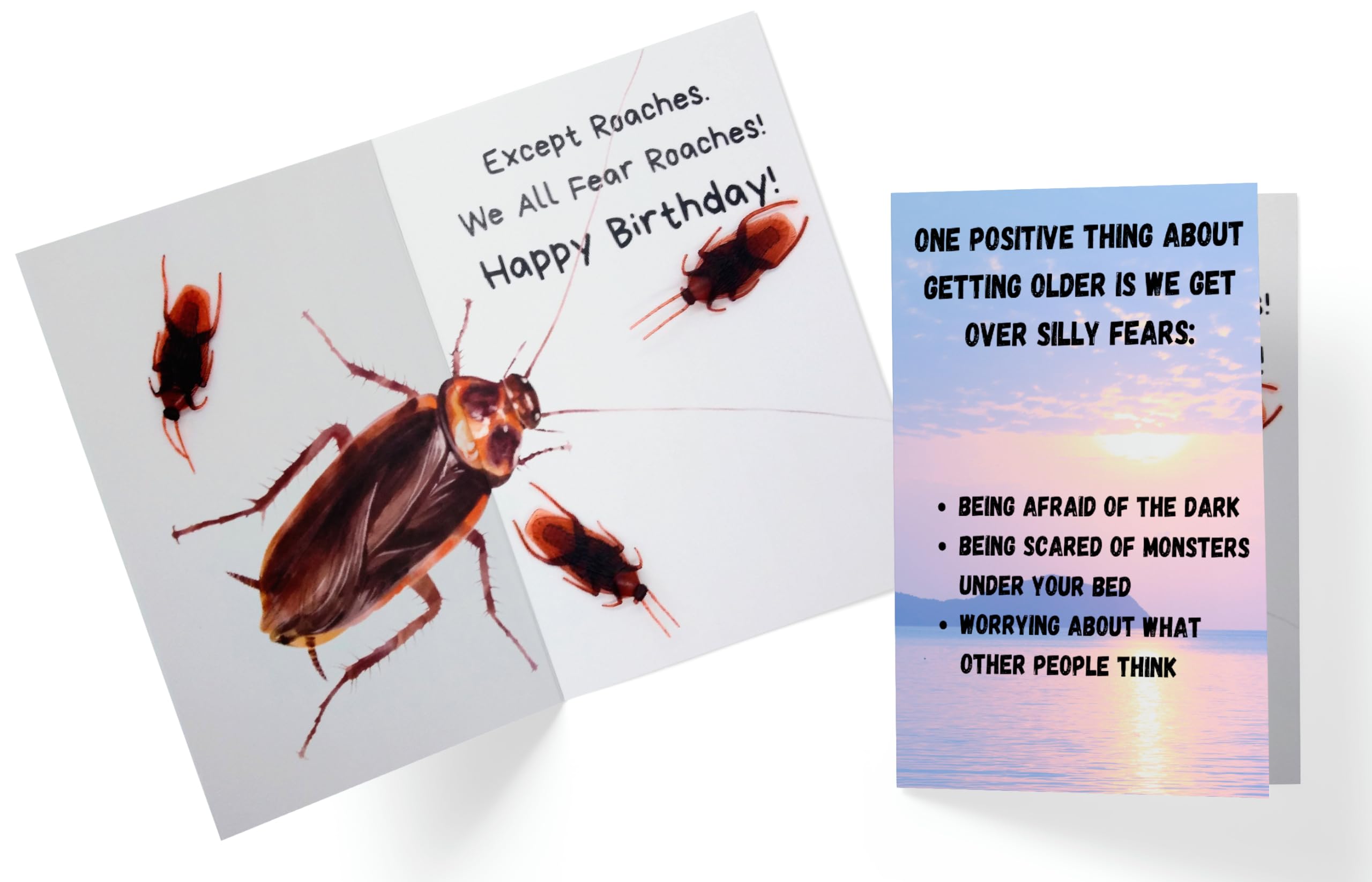 Amazon.com : 55 Laughs Funny Birthday Card With Roaches That Fall Out ...