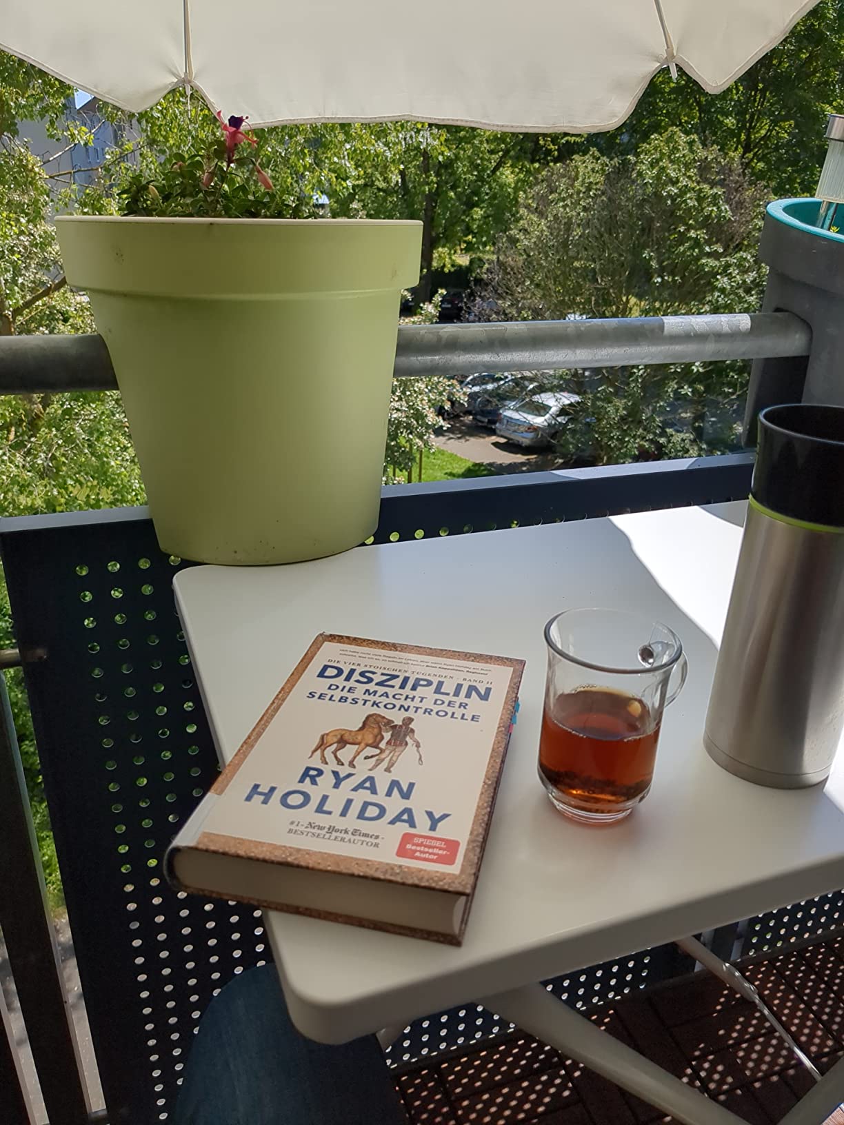 Disziplin – die Macht der Selbstkontrolle: Die vier stoischen Tugenden ...