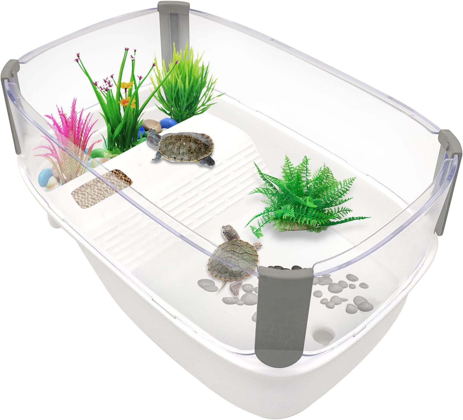 Amazon.com: Hamiledyi Small Turtle Tank Aquarium Terrapin Terrarium ...