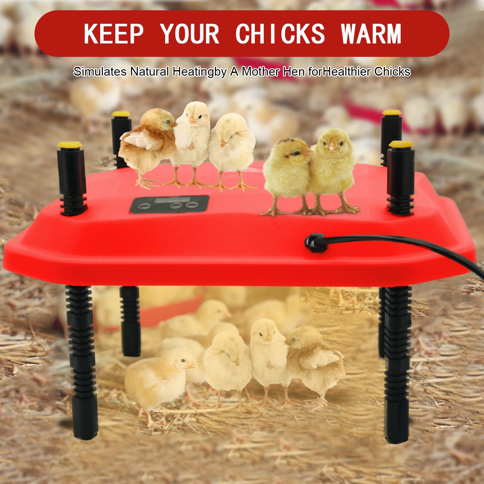 DAORDAER Chicken Brooder Heating Plate for Chicks 16" x 16",LED Display ...