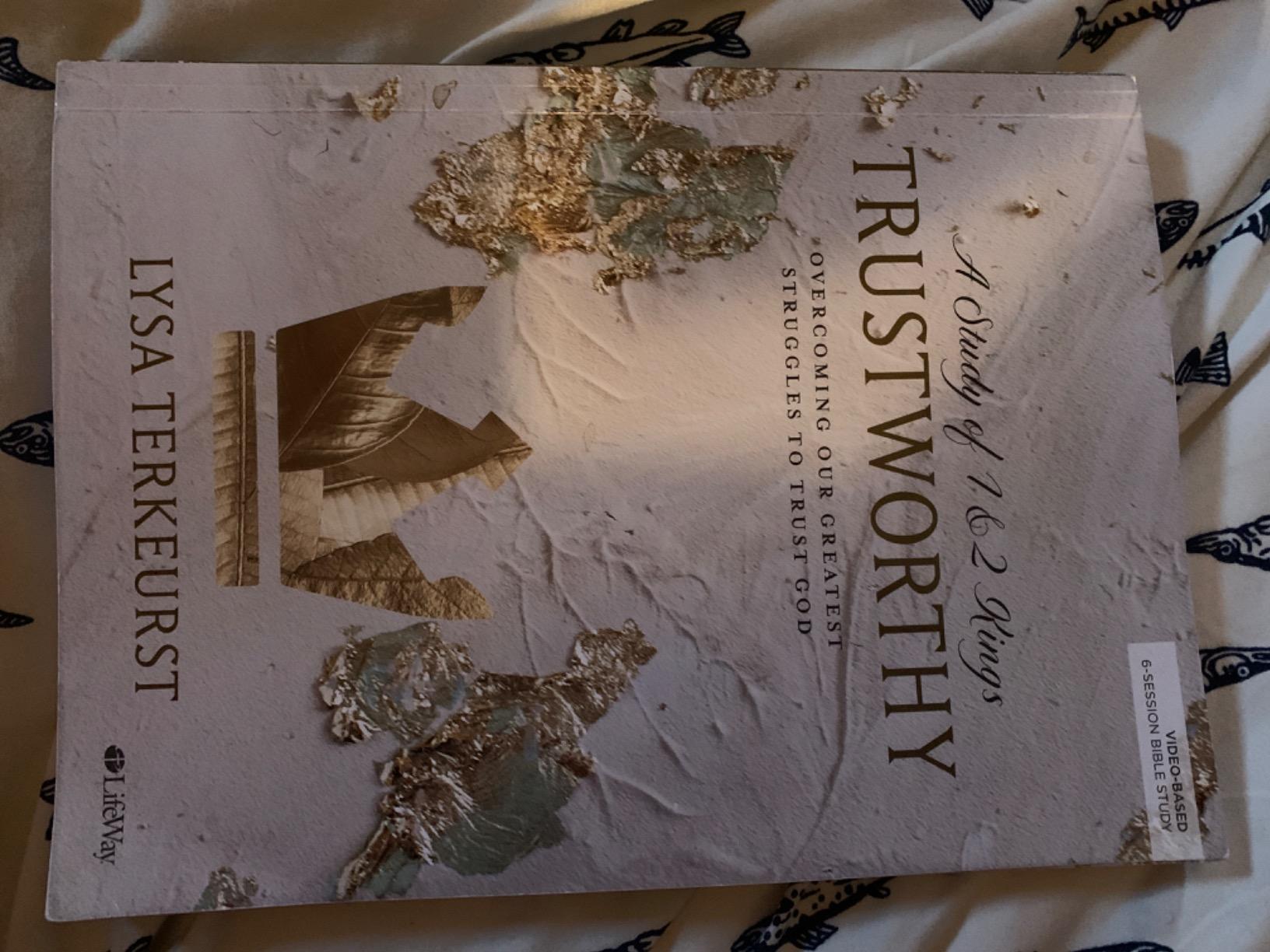 Trustworthy - Leader Kit: Overcoming Our Greatest Struggles to Trust ...