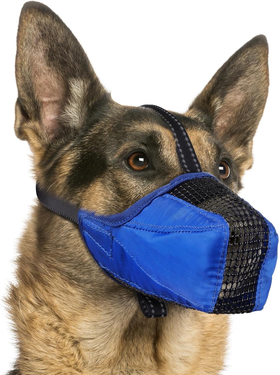 Amazon.com : Pawfun Mesh Dog Muzzle, Breathable Soft Dog Muzzle with ...