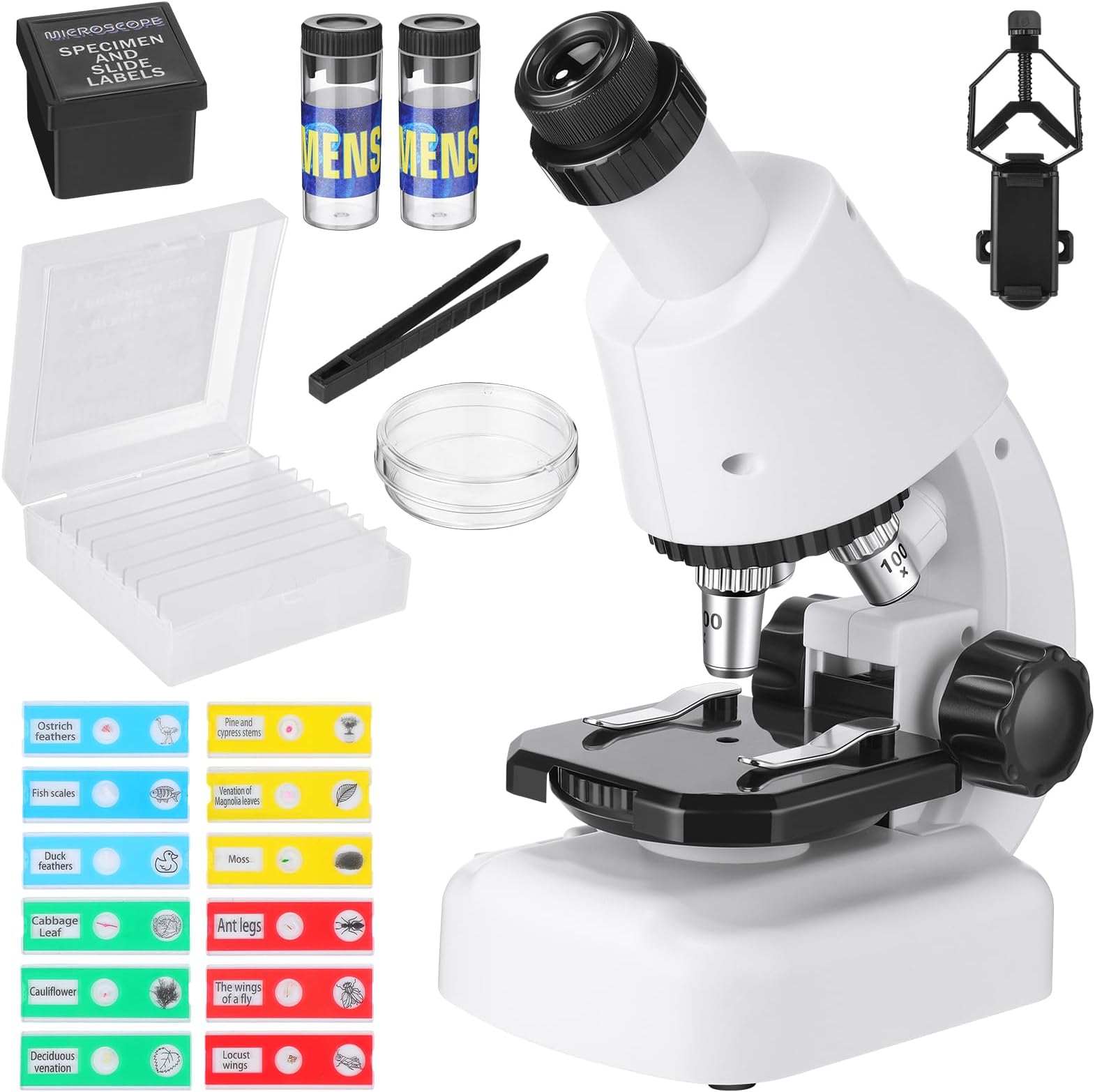Amazon.com: MAXLAPTER Kids Microscope 1200X with Projector: Microscope ...