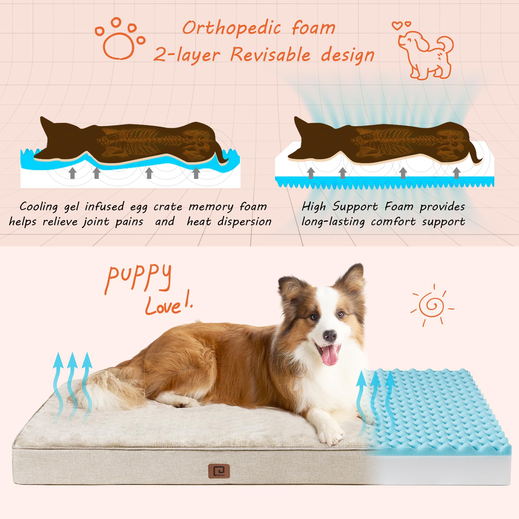 Snapklik.com : EHEYCIGA Orthopedic Memory Foam Dog Beds For Medium Dogs