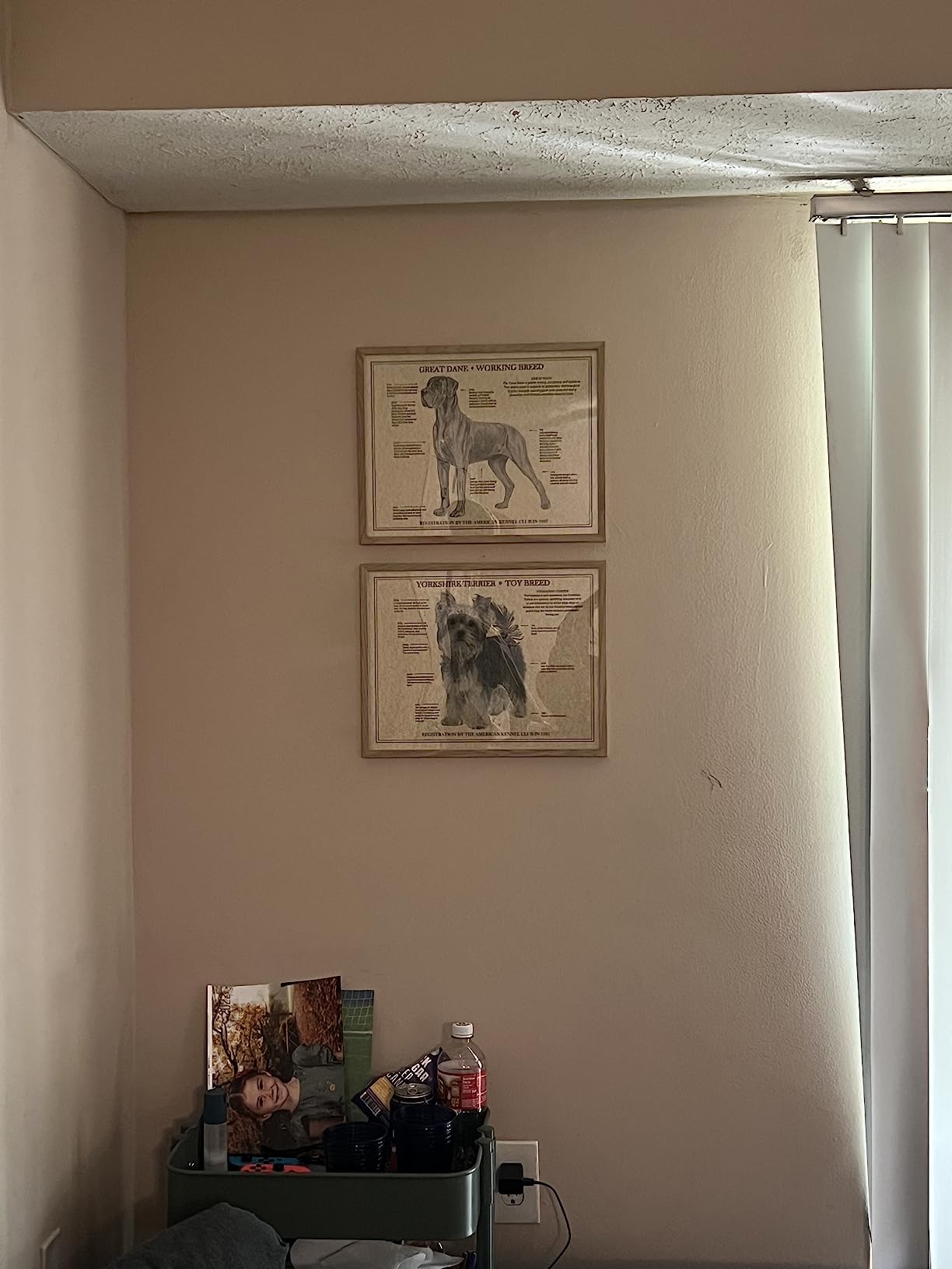 $9/mo - Finance HAUS AND HUES 16"x20" Beige Oak Wood Frames Set of 1 ...