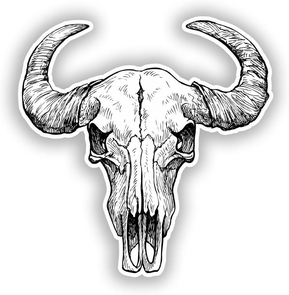 Amazon.com: 2 x Animal Skull Vinyl Stickers