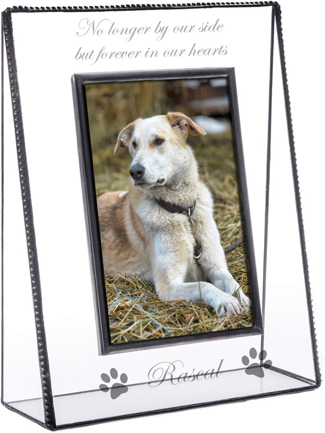 Amazon.com - Pet Picture Frame Personalized Memorial for Dog Lover ...