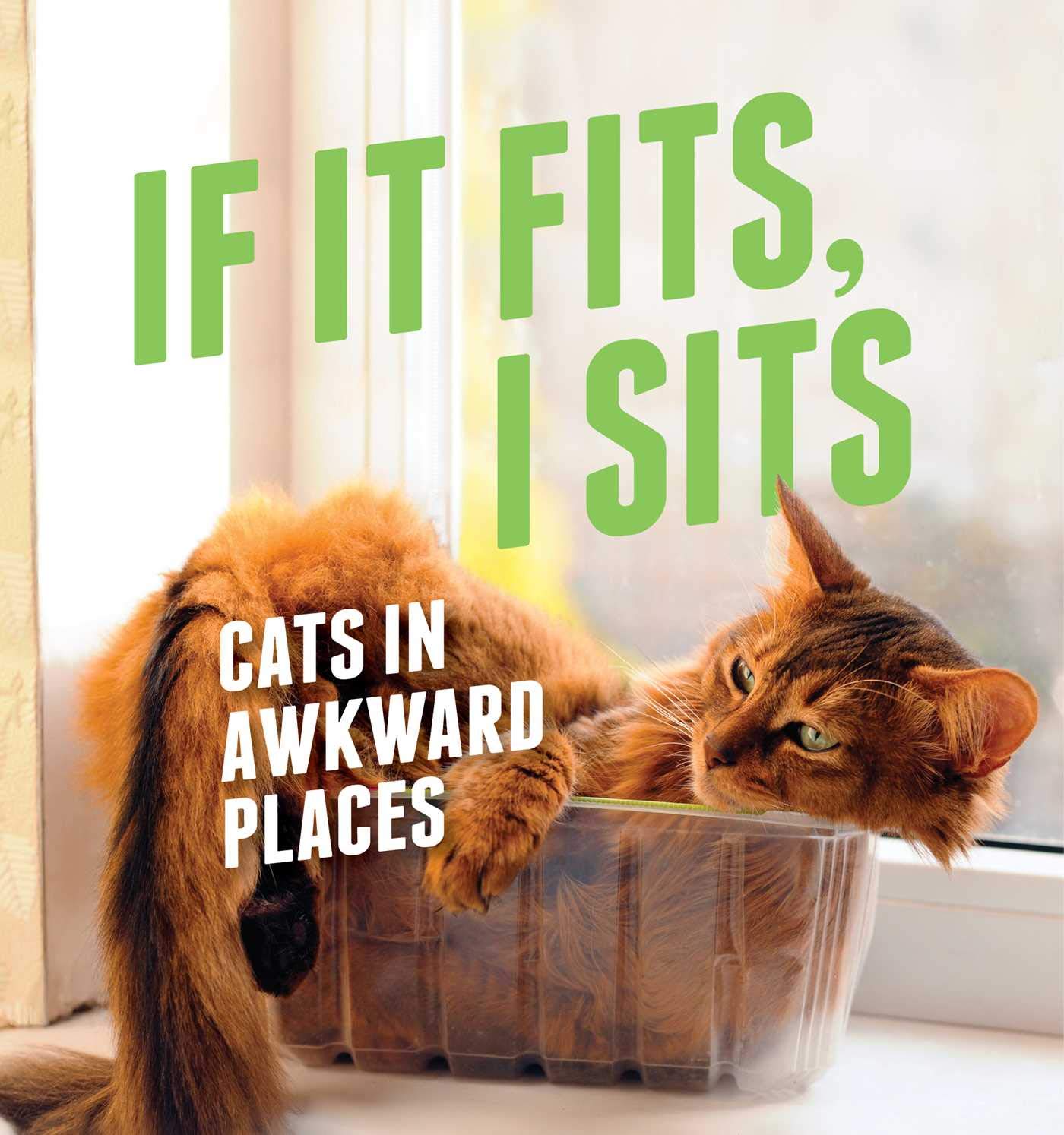 If It Fits, I Sits: Cats in Awkward Places: Various: 9781501134227 ...
