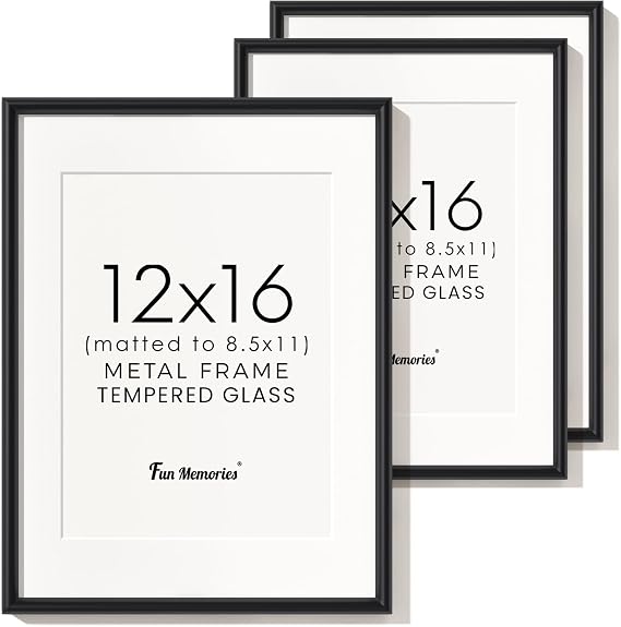 Amazon.com - Fun Memories 12x16 Picture Frame Black, Aluminum Picture ...