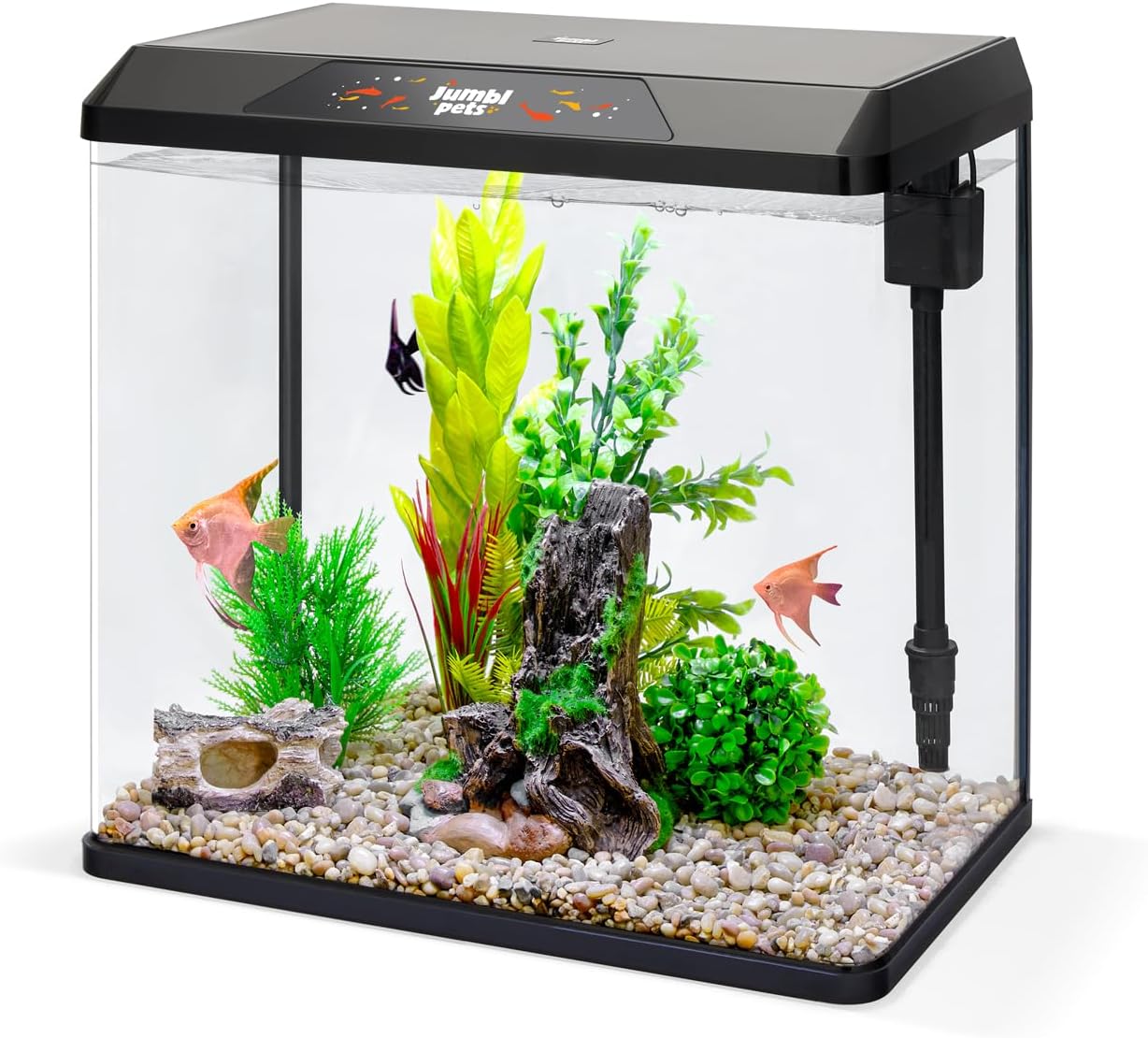 Amazon.com : JumblPets Starter Fish Aquarium Kit, 5 Gallon, Complete ...