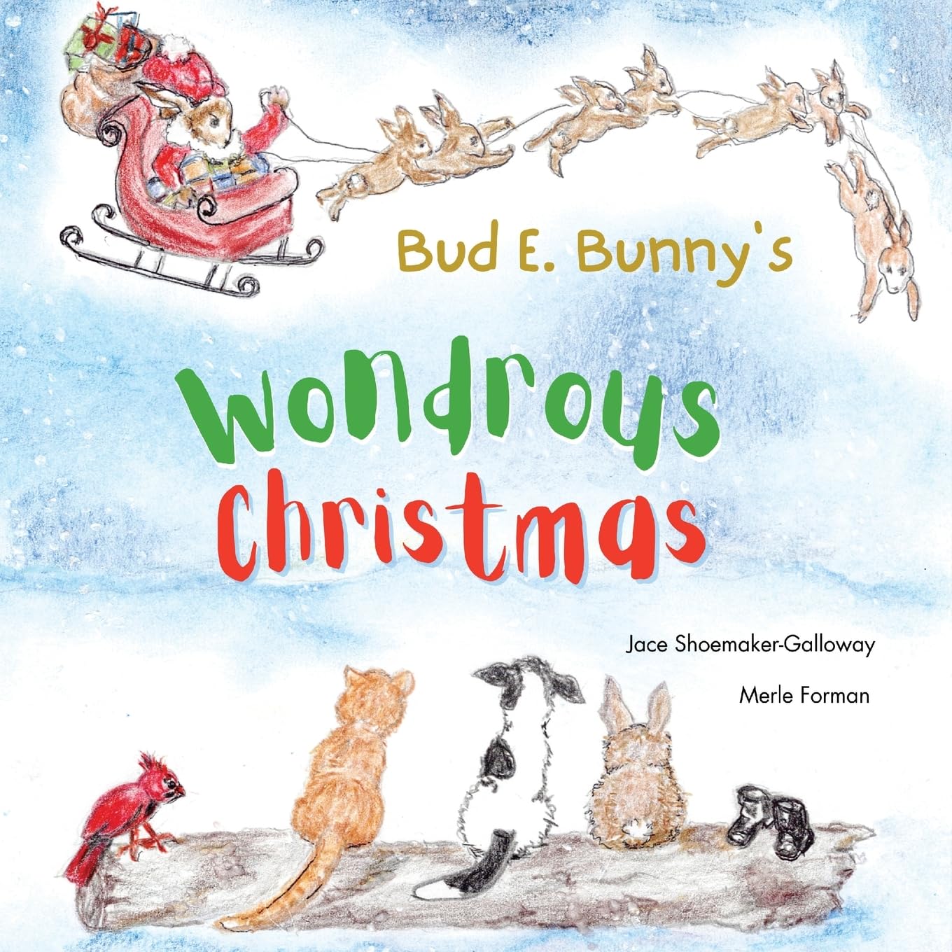 Amazon.com: Bud E. Bunny's Wondrous Christmas: 9781960638366: Shoemaker ...