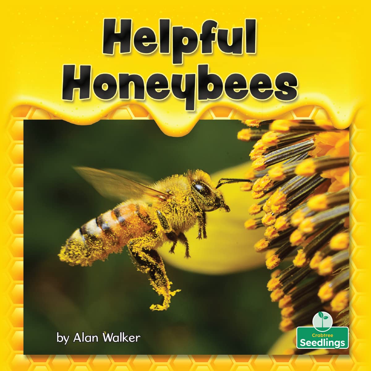 Amazon.com: Helpful Honeybees (Backyard Science): 9781039646551: Walker ...