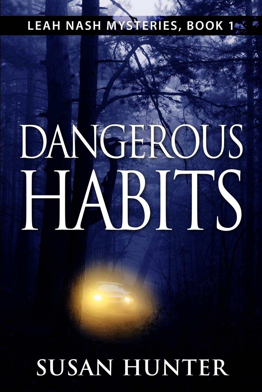 Dangerous Habits (Leah Nash Mysteries): Hunter, Susan: 9781497311824 ...