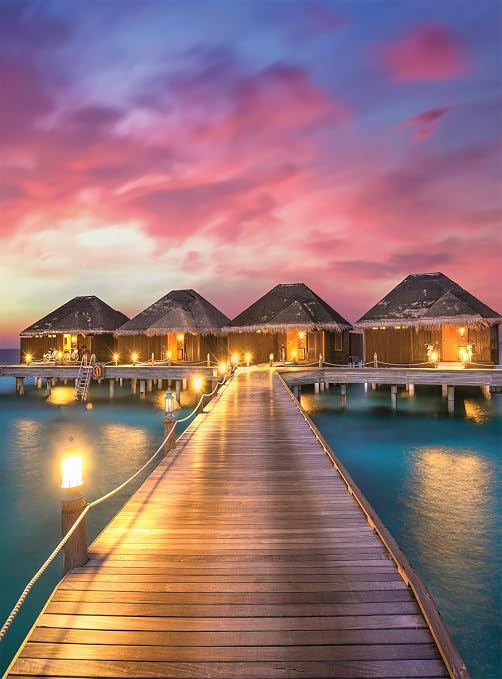 Amazon.com: Buffalo Games - Altug Galip - Maldives Bungalows - 1000 ...