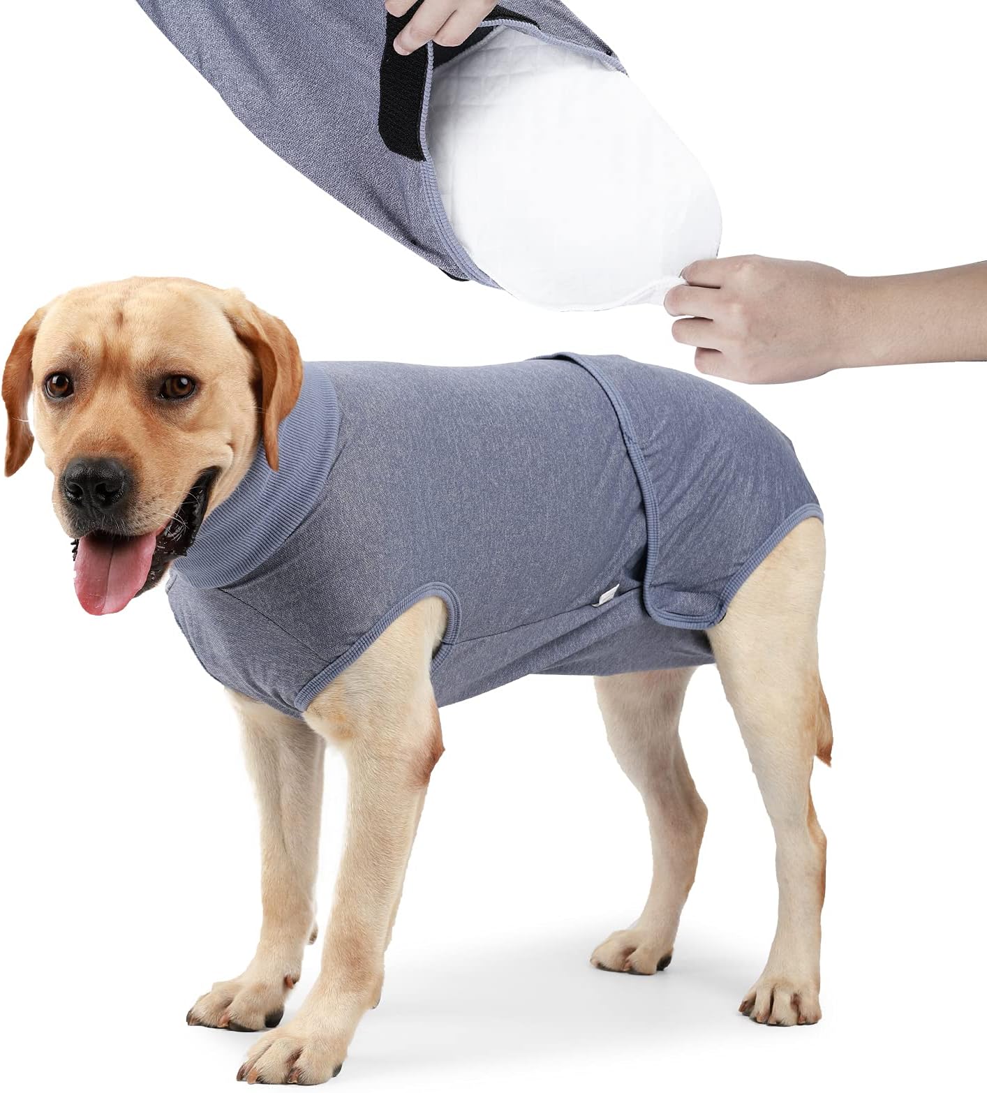 Amazon.com: It is a Dog Chastity - Chastity for Dogs - Pet Anti ...