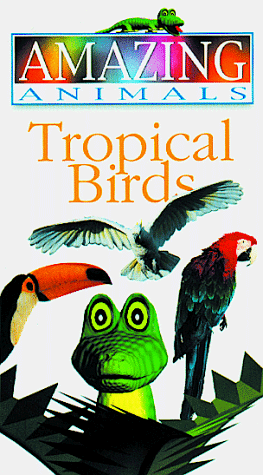 Tropical Birds: Amazon.in: DK Publishing: Movies & TV Shows