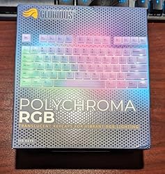 Amazon.com: Glorious Polychroma Keycaps: Clear for RGB Shine Through ...