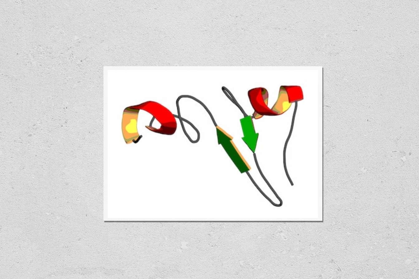 Protein Cartoon Representation MreB Wikipedia