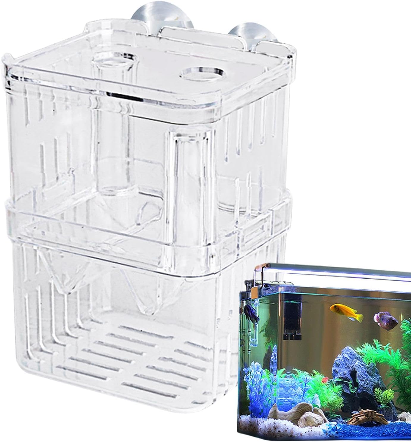 Amazon.com : Fish Breeding Box, Acrylic Fish Incubator Tank Divider ...