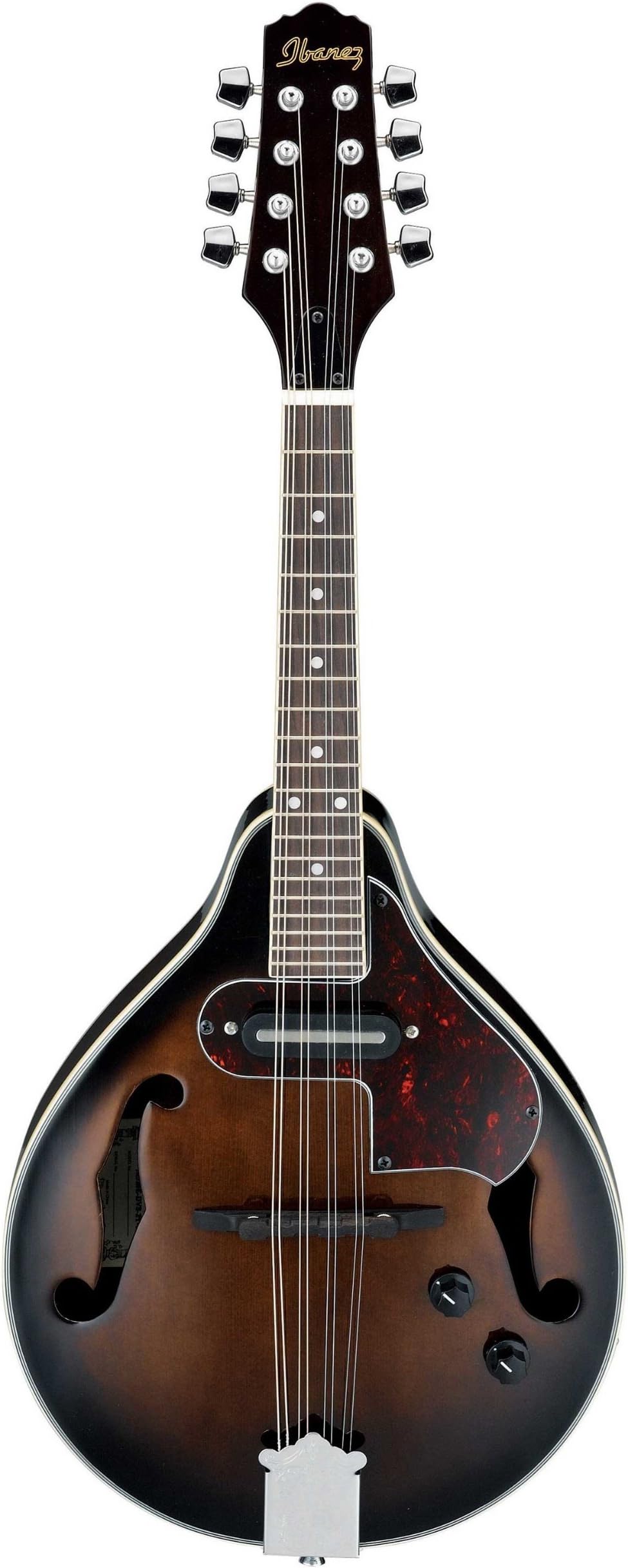 Amazon.com: Kentucky, 8-String Mandolin, Sunburst, 0 (KM-750) : Musical ...