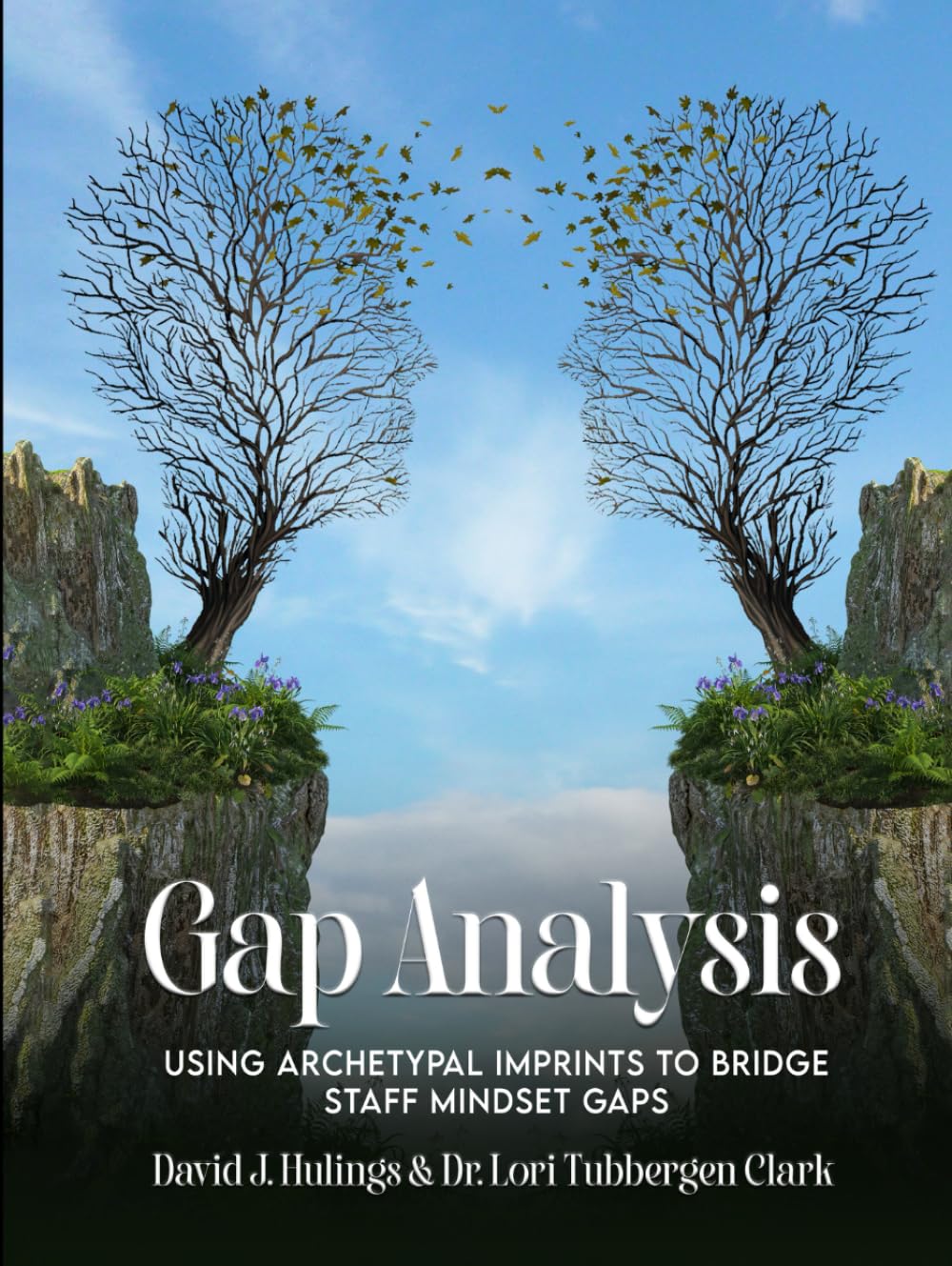 Amazon.com: Gap Analysis: Using Archetypal Imprints to Bridge Staff ...