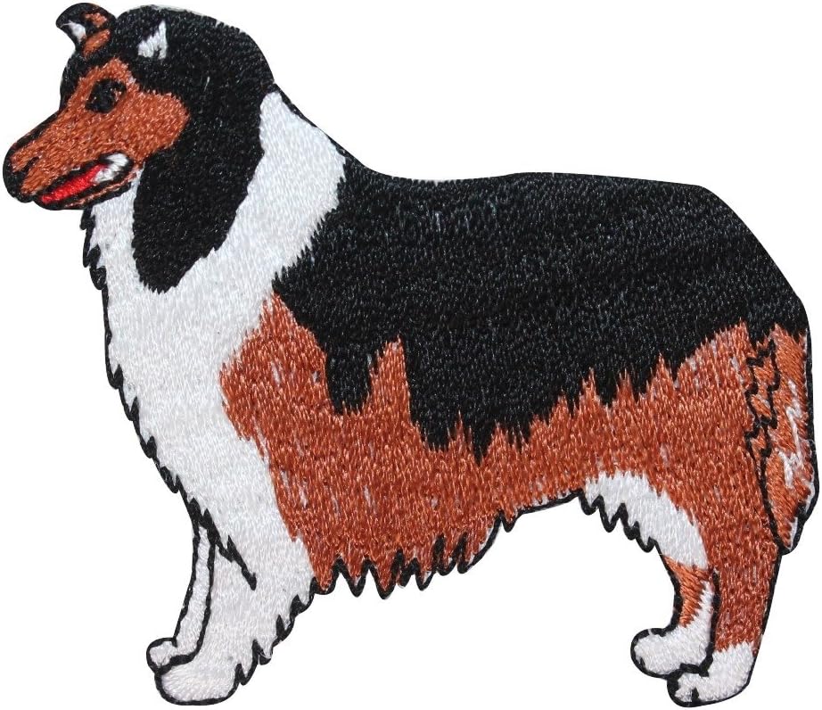 Amazon.com: ID 2777 Border Collie Dog Patch Puppy Breed Herder ...