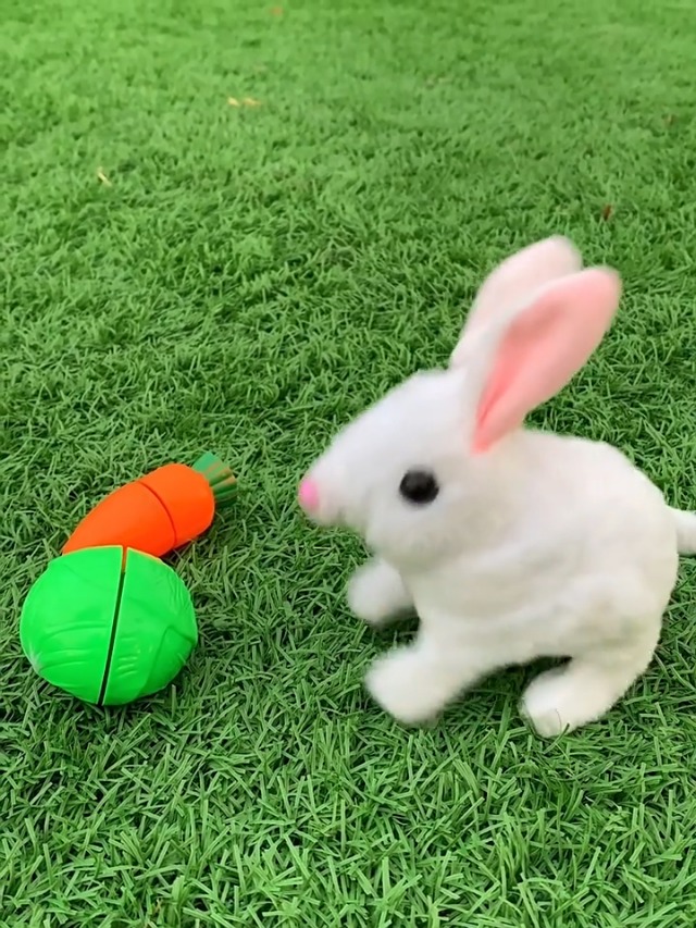 Watch Educational Stuffed Cute Bunny Toy, Toy Rabbit, Electric Rabbit ...