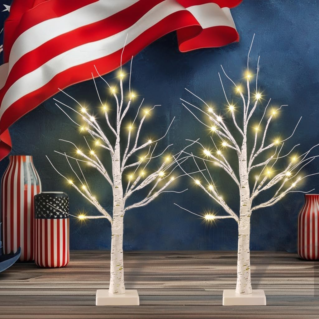 Amazon.com: 2-Pack 2FT Lighted Birch Tree with Timer for Easter ...