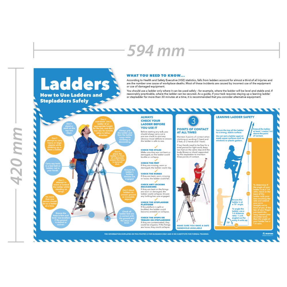 Ladders Health Safety Poster Daydream Education