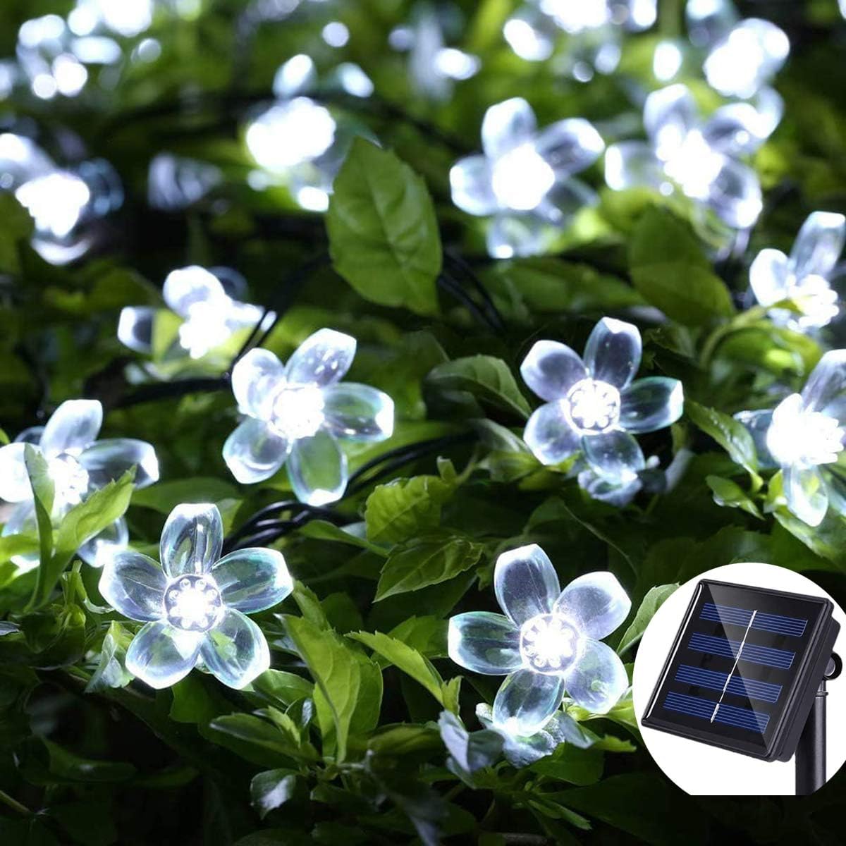 Solar Flower String Lights,AMZSTAR® 21ft 50 LED Peach Blossom Fairy ...