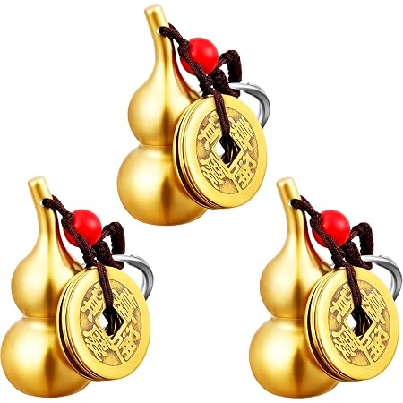 Amazon.com: 2 Pieces Chinese Coins Feng Shui and Brass Wu Lou Health ...