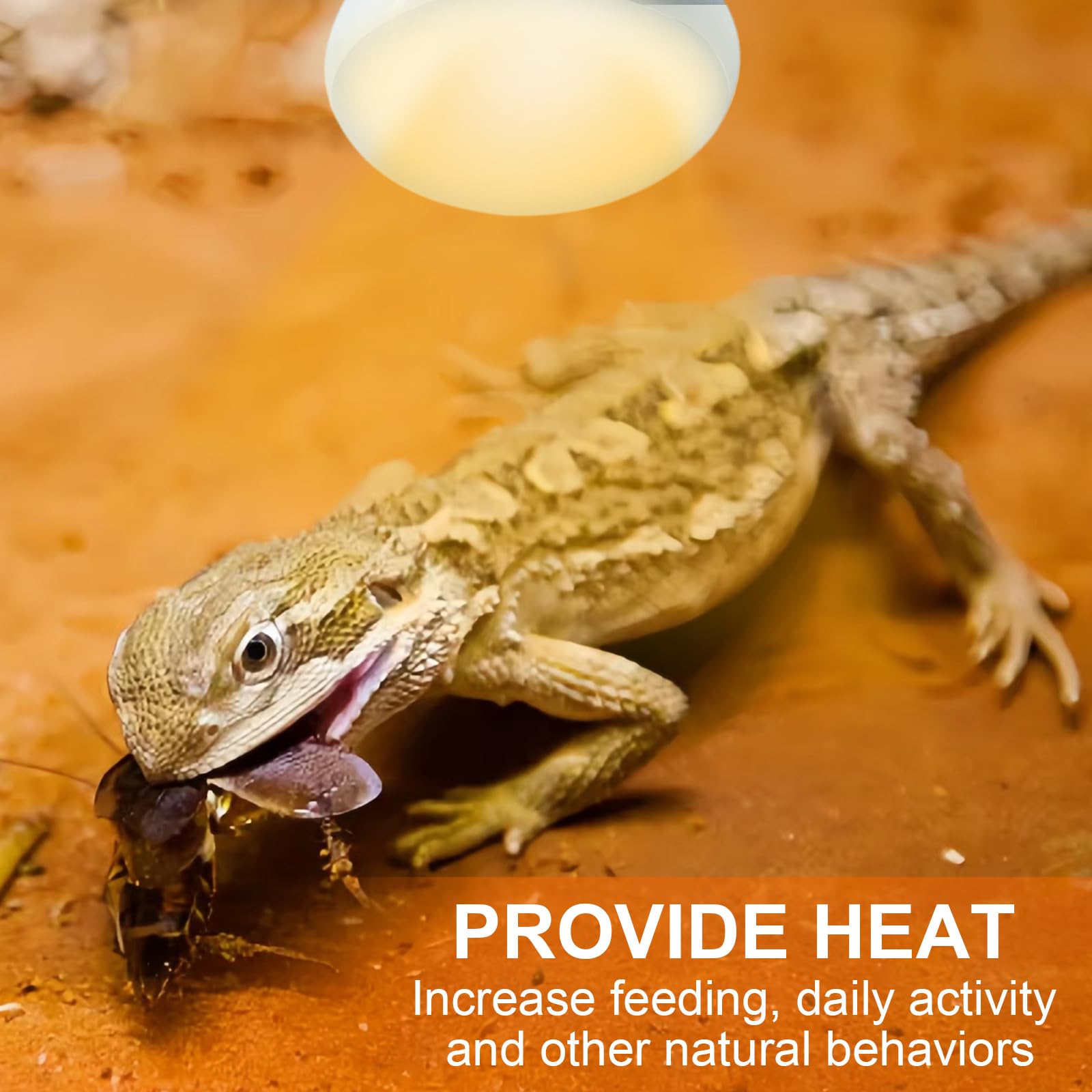 Snapklik.com : Reptile Heat Lamp Bulbs, Simulate Natural Sunlight Heat ...