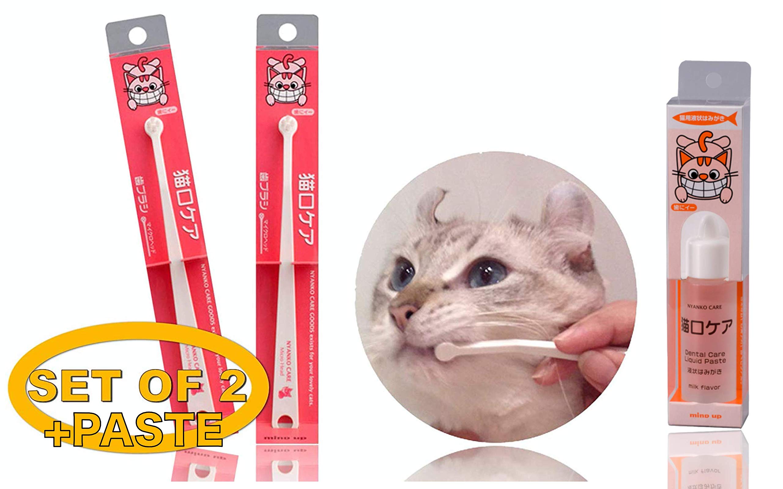 Feline Toothbrush And Toothpaste | atelier-yuwa.ciao.jp