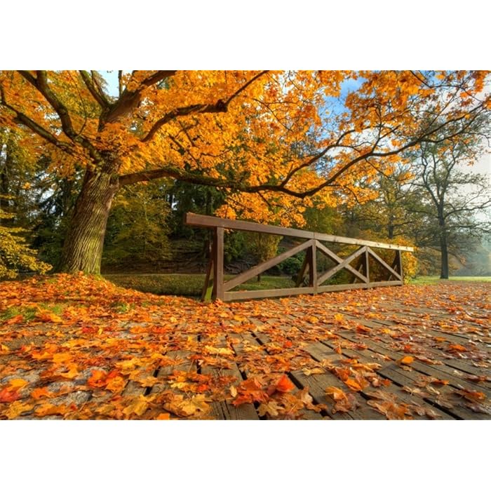 Buy Leowefowa 10X8FT Autumn Backdrop Forest Trees River Golden Trees ...