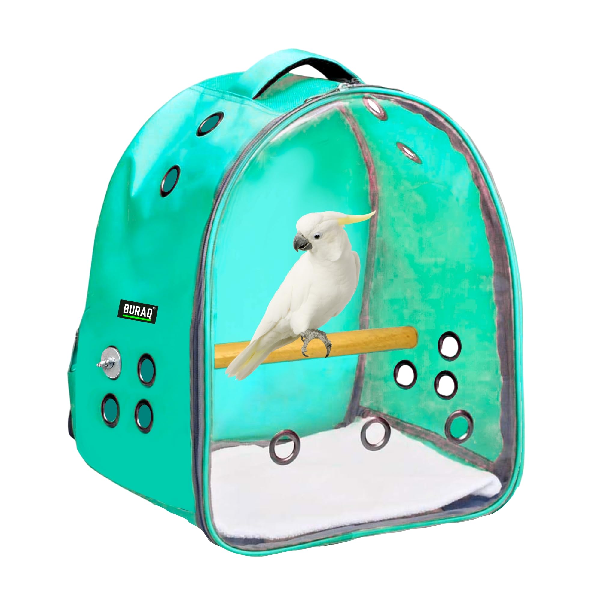 Buraq Pets Transparent Bird Carrier Breathable Airline-Approved ...