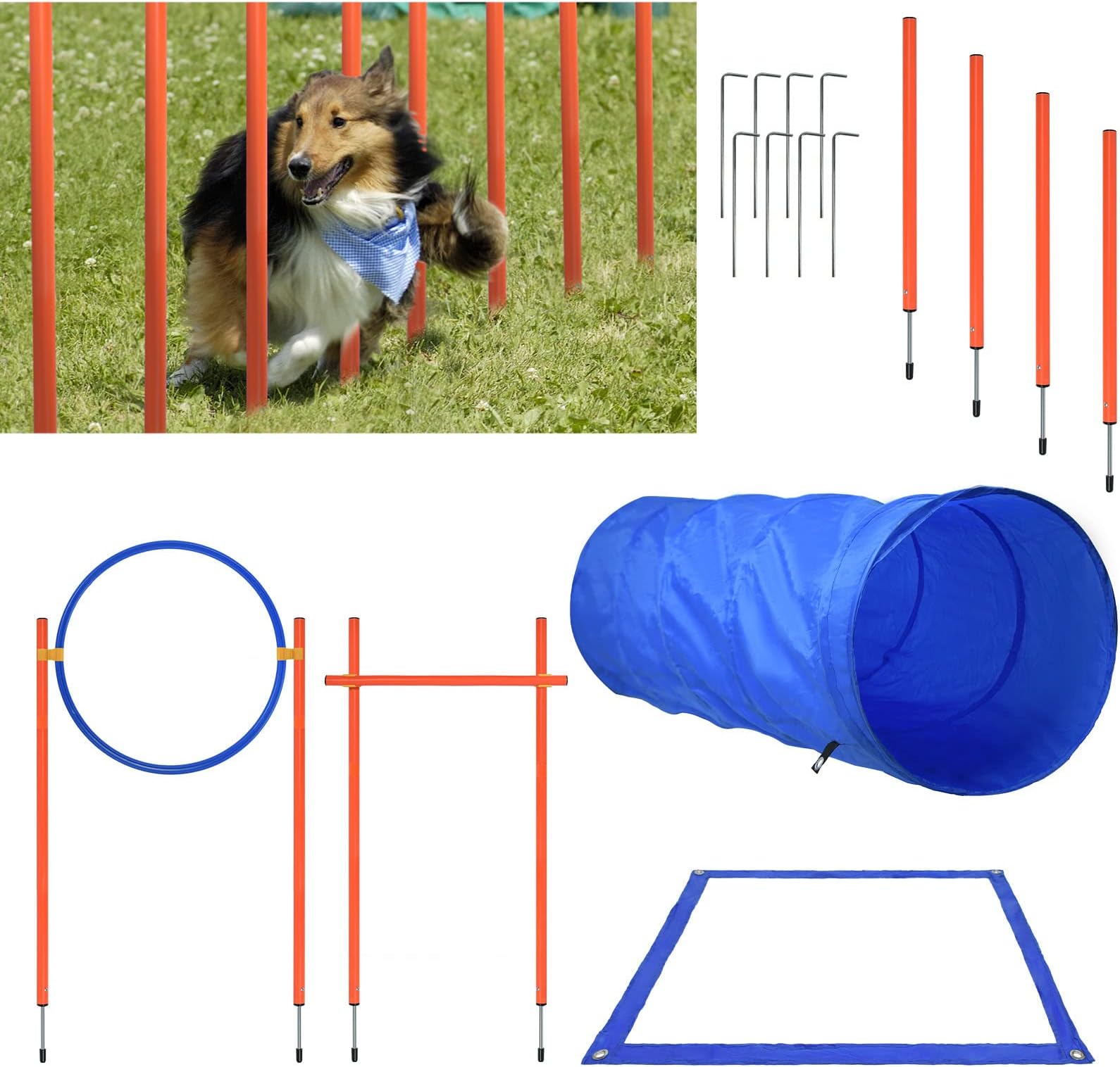 ORHEYA Agility Set Hunde Agility Ausrüstungs Set für Hunde Hindernisse ...