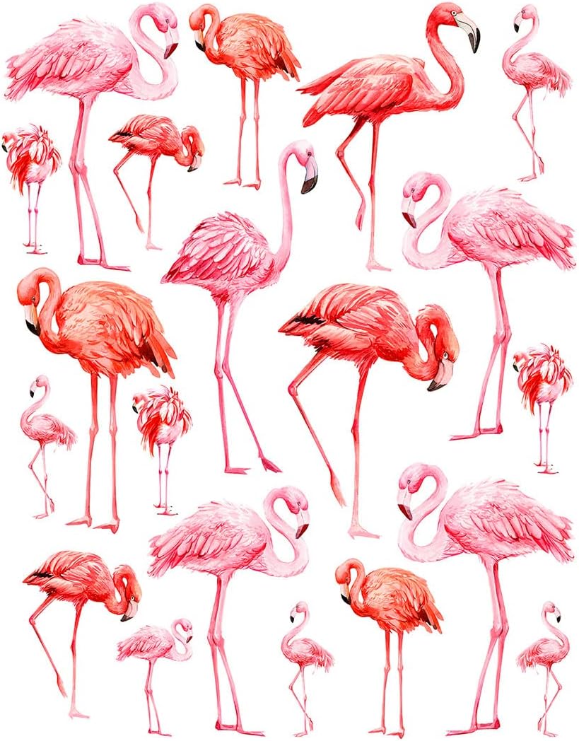 Amazon.com: Ceramic Decals - Overglaze - Enamel Decal - Lake Fish ...