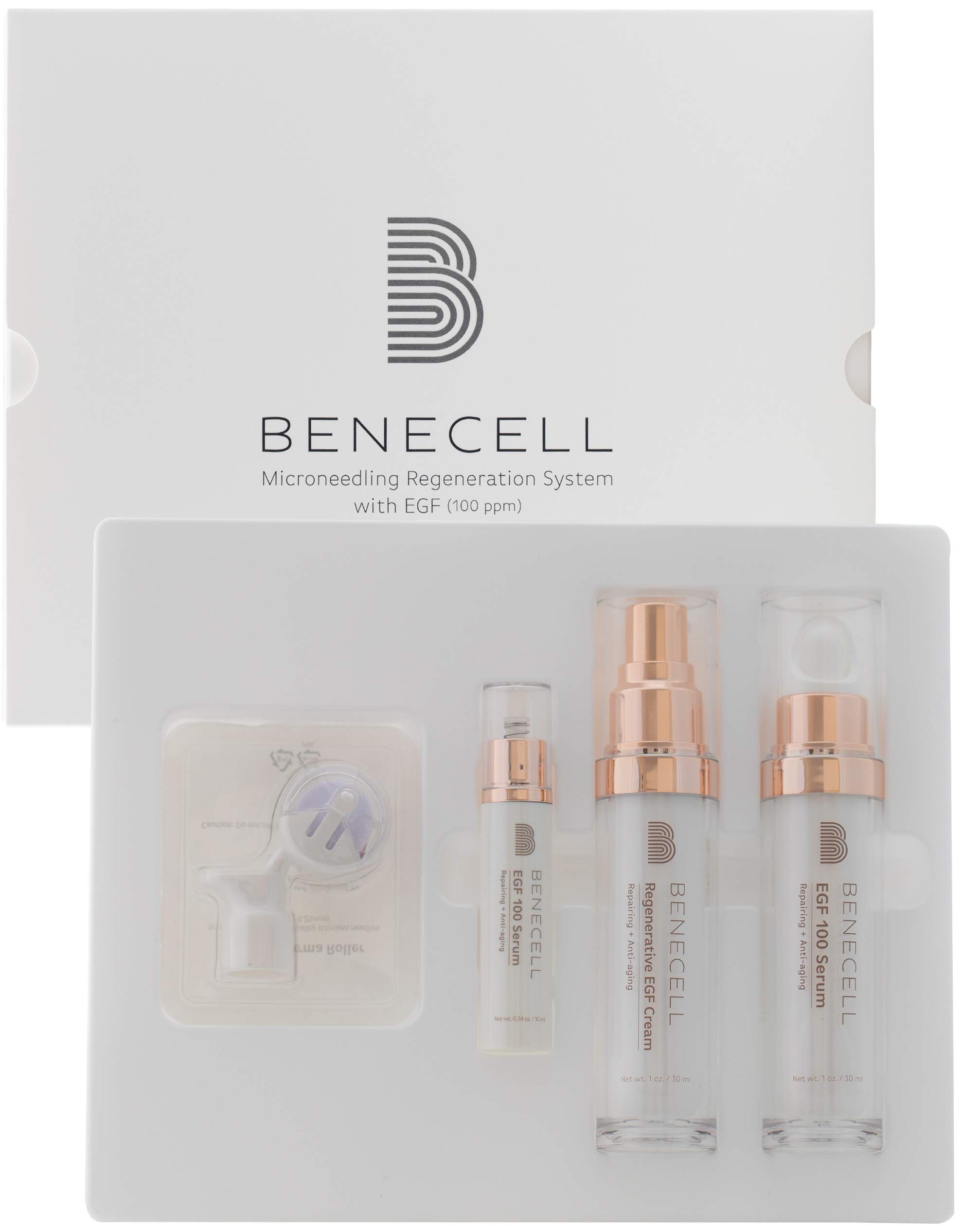 Buy BENECELL Microneedling Regeneration System with EGF Serum(100ppm ...