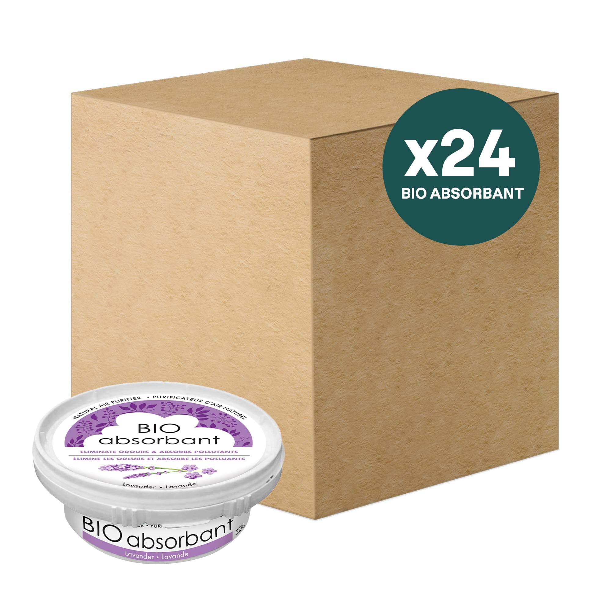 ATTITUDE Bio Absorbant Air Purifier with Activated Carbon Freshener ...