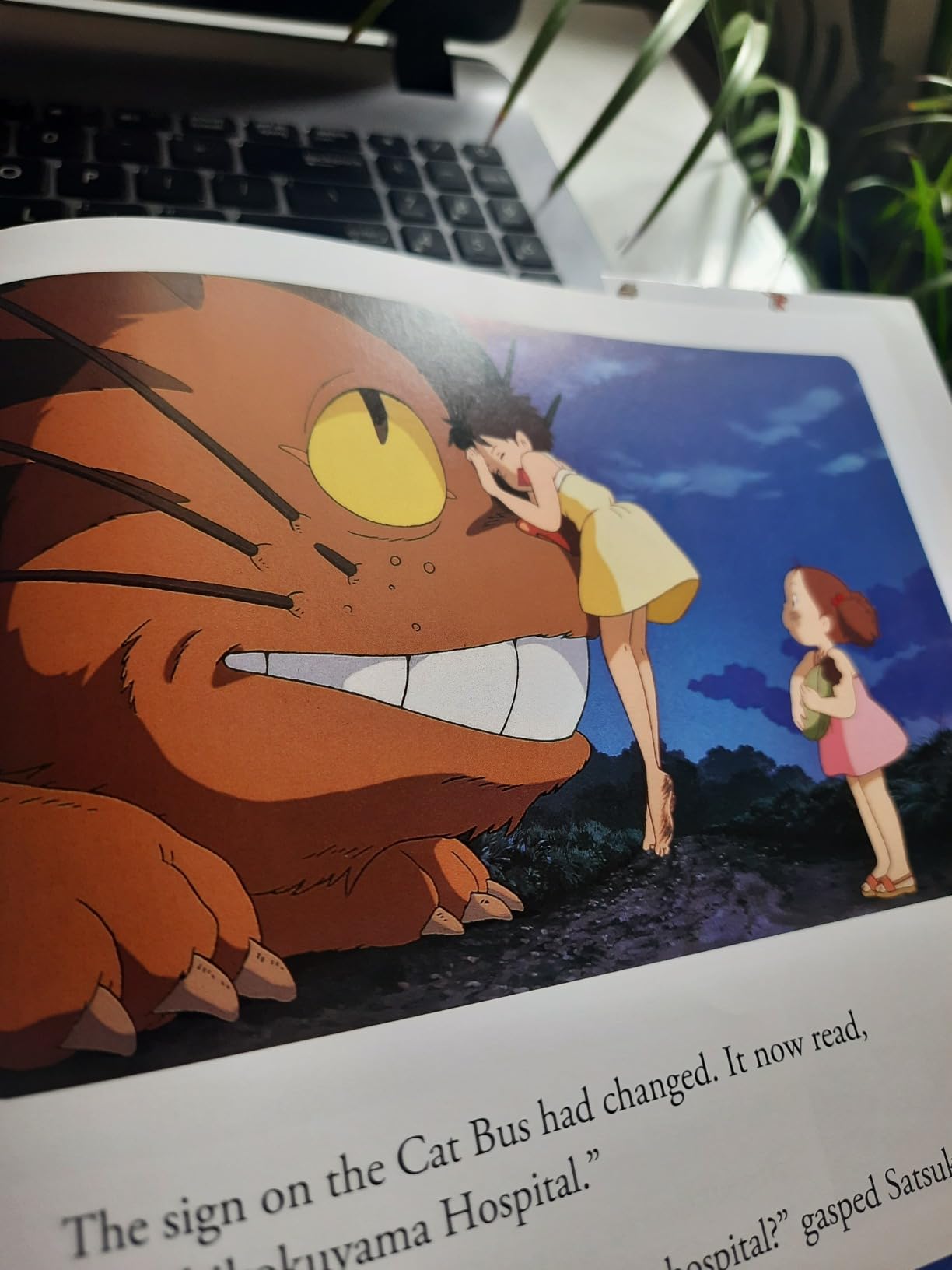 My Neighbor Totoro Picture Book : Miyazaki, Hayao: Amazon.in: Books