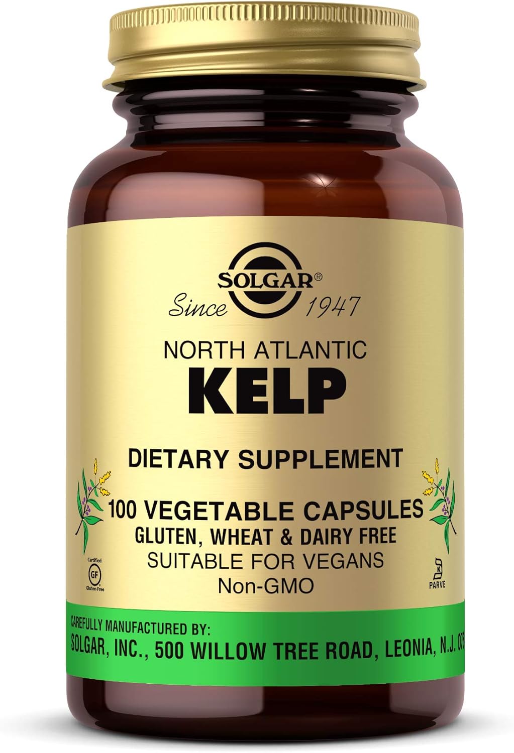 Amazon.com: Solgar – North Atlantic Kelp, 100 Vegetable Capsules ...