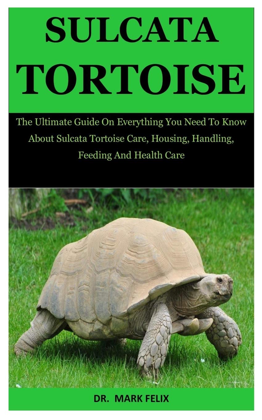 Buy Sulcata Tortoise: The Ultimate Guide On Everything You Need To Know ...