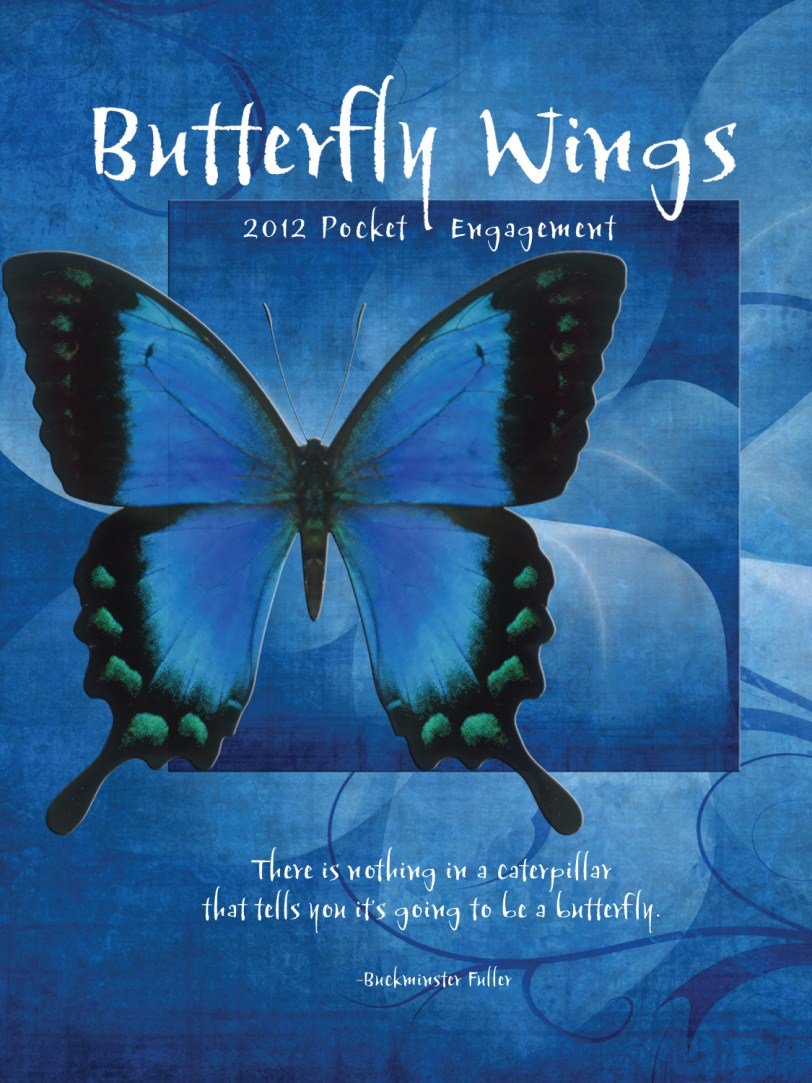 2012 Butterfly Wings Pocket Engagement Pocket calendar: Brush Dance ...